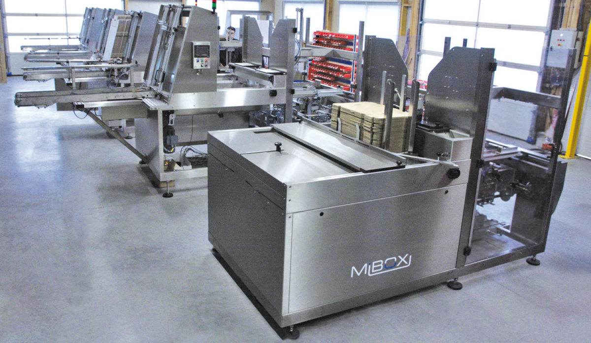 Składarko-sklejarka do kartonów, tackarka | Maszyna do kartonu